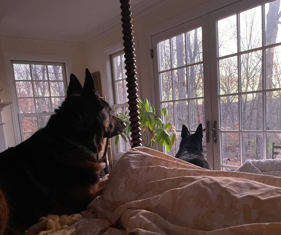 To the Contrary | Charlie Sykes | Substack