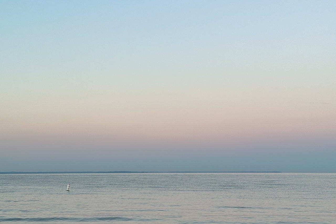 whole & balanced | Laney | Substack