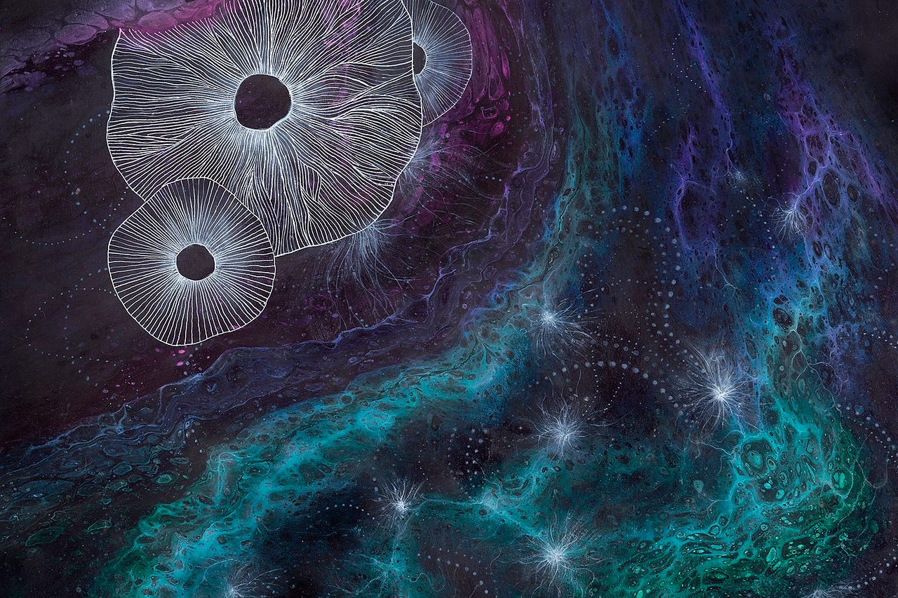 The Mycelium | Tijn Tjoelker | Substack