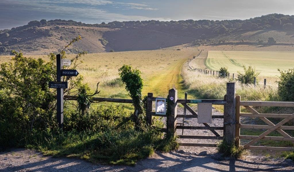 My Inner Sloth | Man/Sloth | Substack