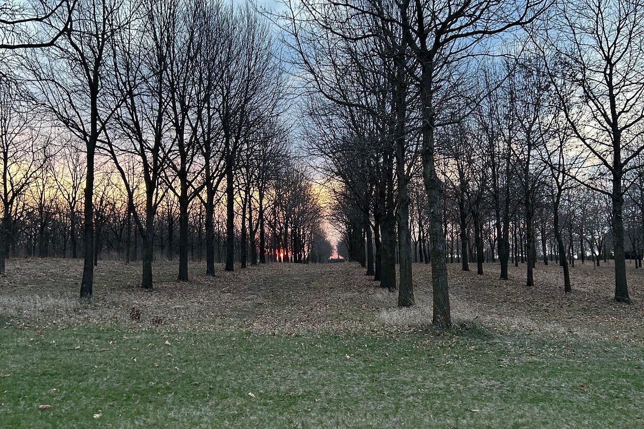 Gray's Voice | Connie Gray | Substack