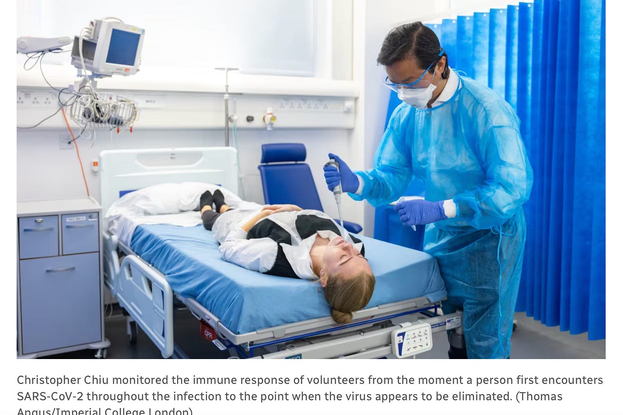 Vibrant Life | Jennifer Margulis | Substack