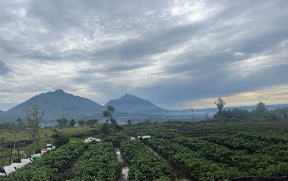 Alison is Abroad | Alison Gill | Substack