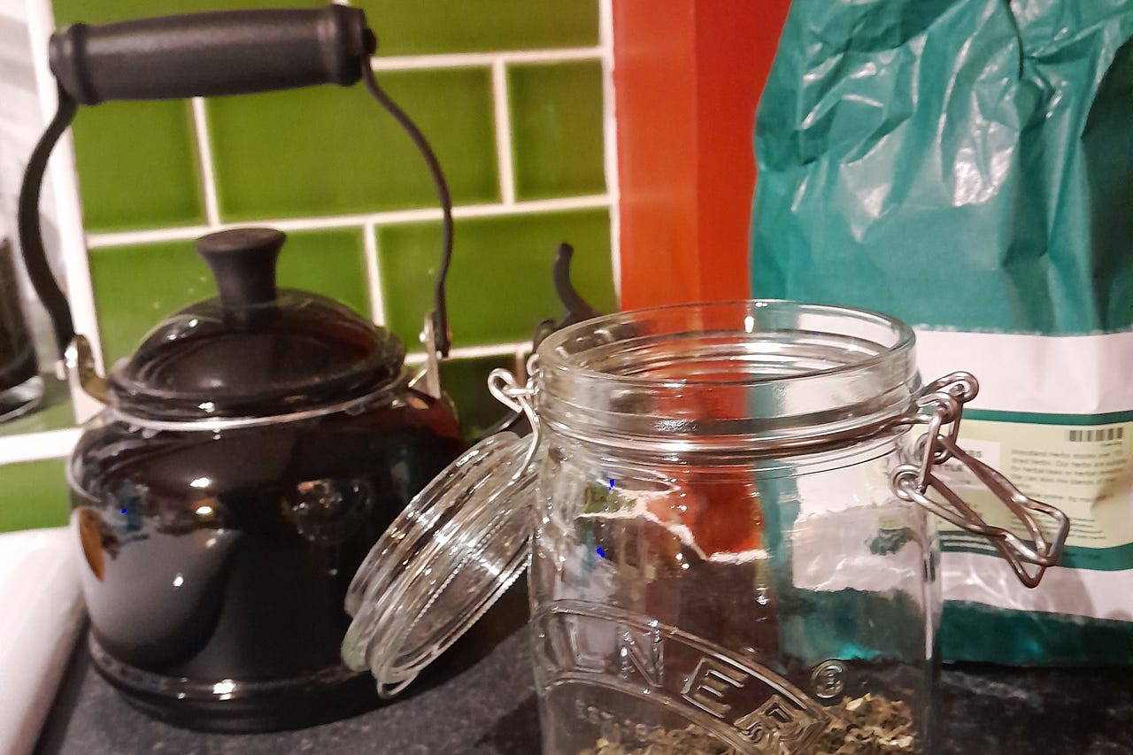 Dr Burroughs' notebook | Mrs S | Substack