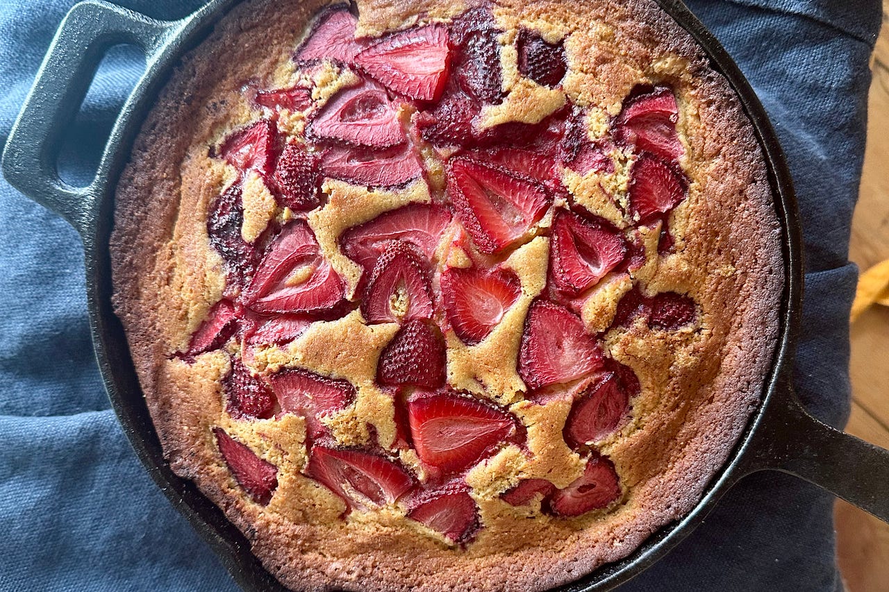 The Best Bit | Clare de Boer | Substack