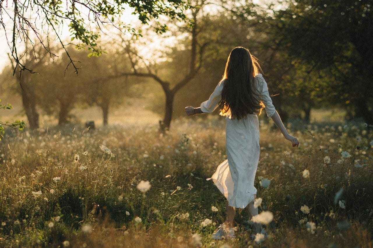 Elevated Simplicity Journal | anderson + grant | Jamie Hoover | Substack