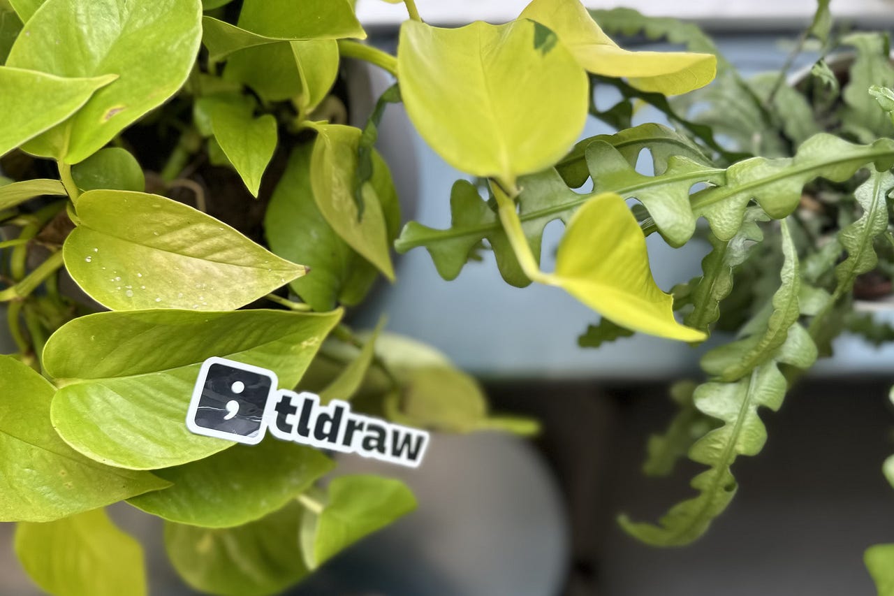 tldraw | Steve Ruiz | Substack