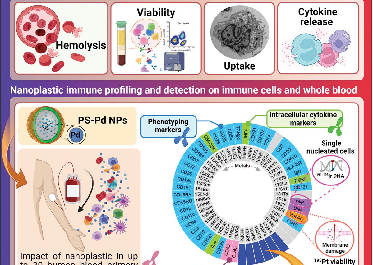 Humanity United Now - Ana Maria Mihalcea, MD, PhD | Substack