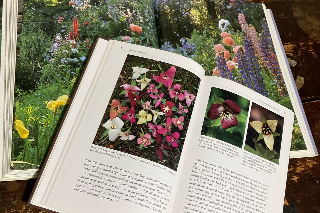 Joseph Gardens | Joseph Tychonievich | Substack