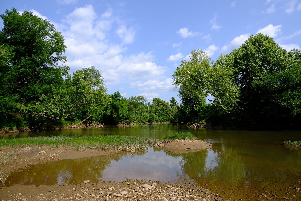 The Cahaba Project | Halley Cotton | Substack