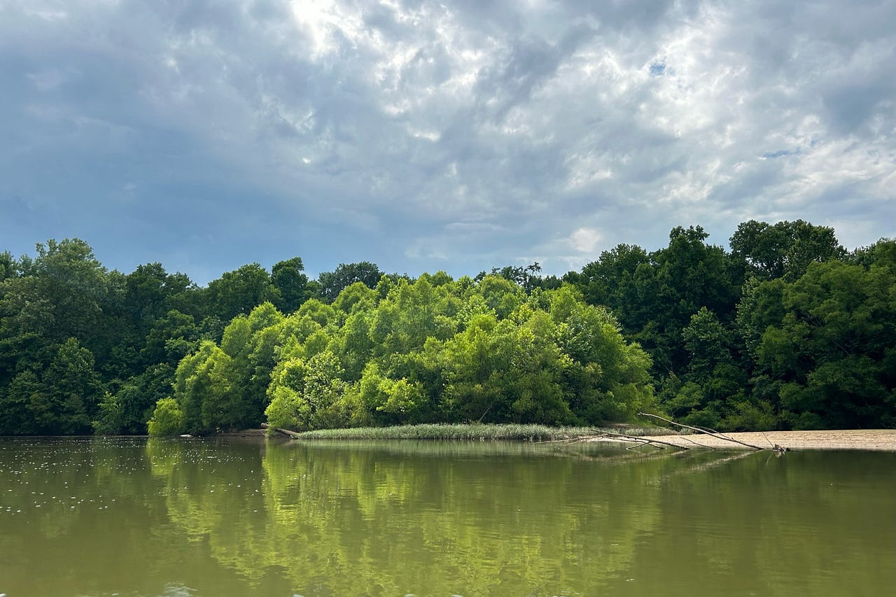 The Cahaba Project | Halley Cotton | Substack