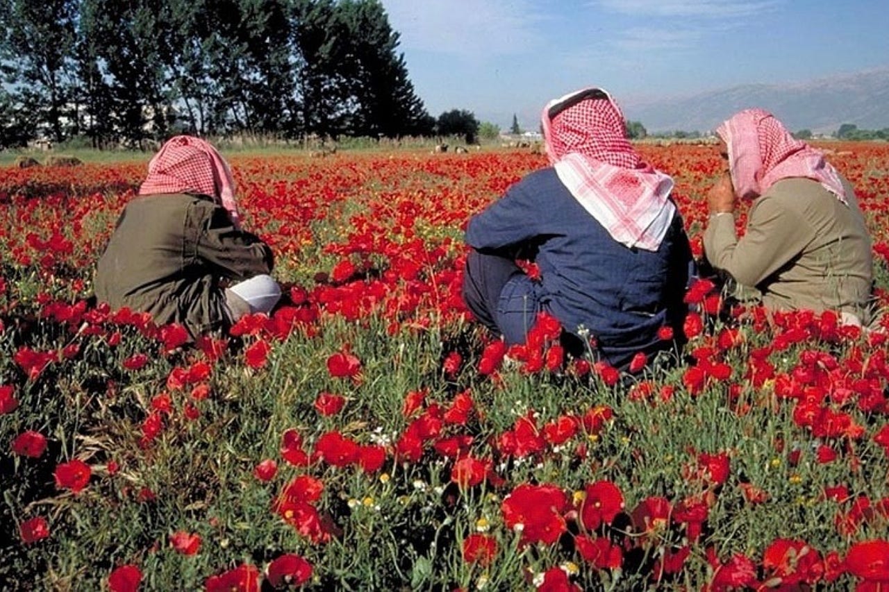 WRITE, TO HEAL by Mimi Zhu | Substack