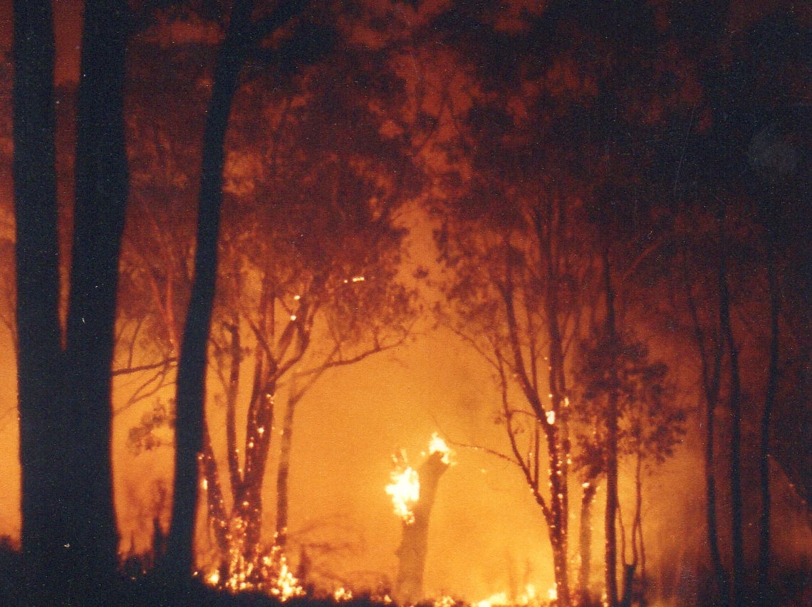 Fiery Furnace | Trevor Gunter | Substack