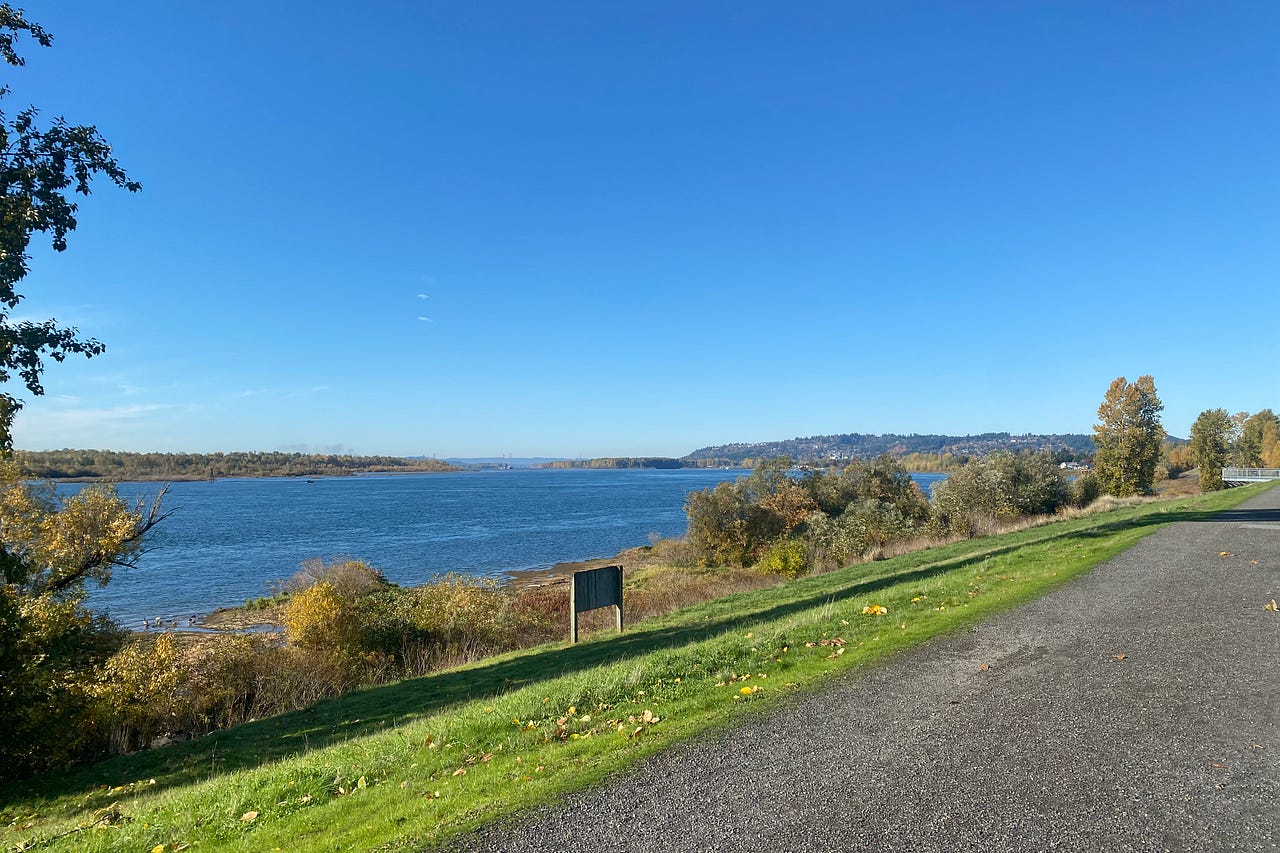 Stained Glass Windows | Michal Conger | Substack