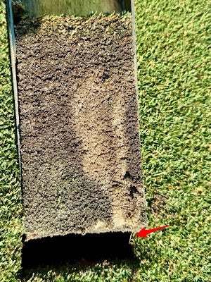 Darren’s Substack | Darren J. Davis, CGCS | Substack