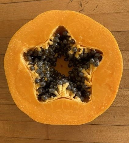 Charles Hugh Smith's Substack | Substack