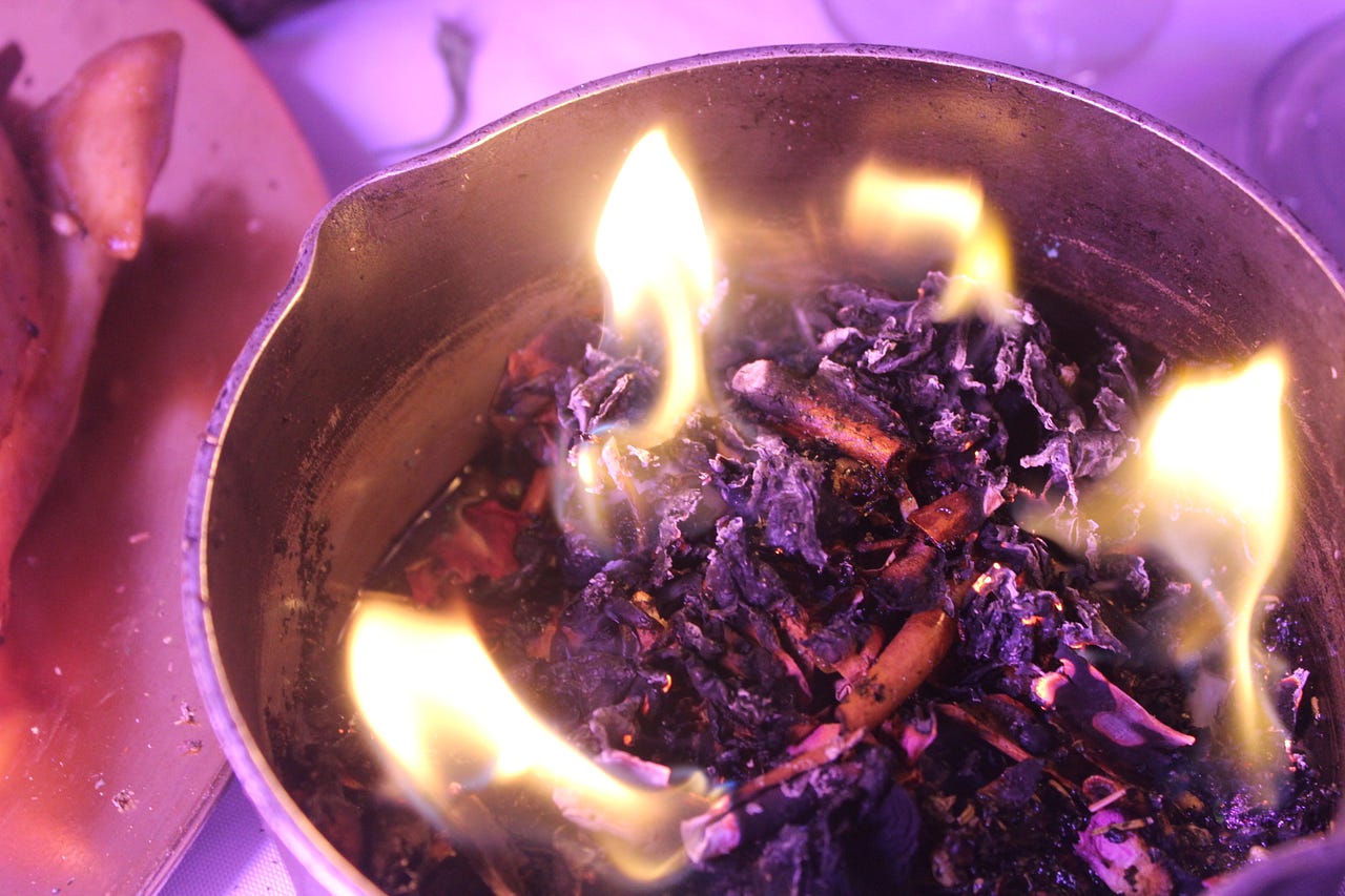 Nathalie Flo’s Substack | Substack