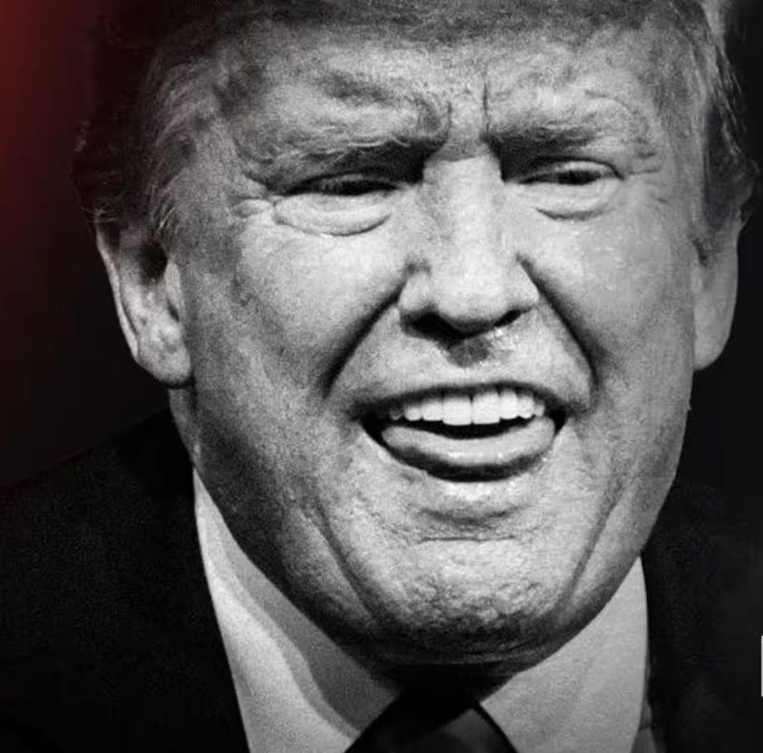 Democracy Americana | Thomas Zimmer | Substack