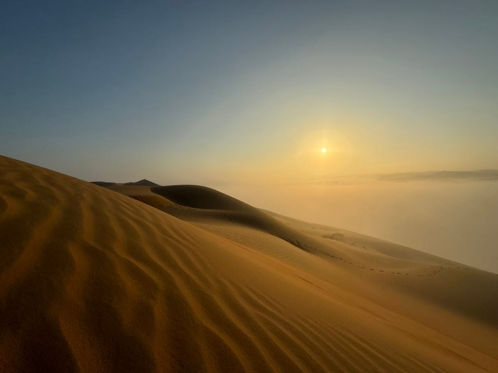 Learn with Professor KL | Karim Lakhani | Substack