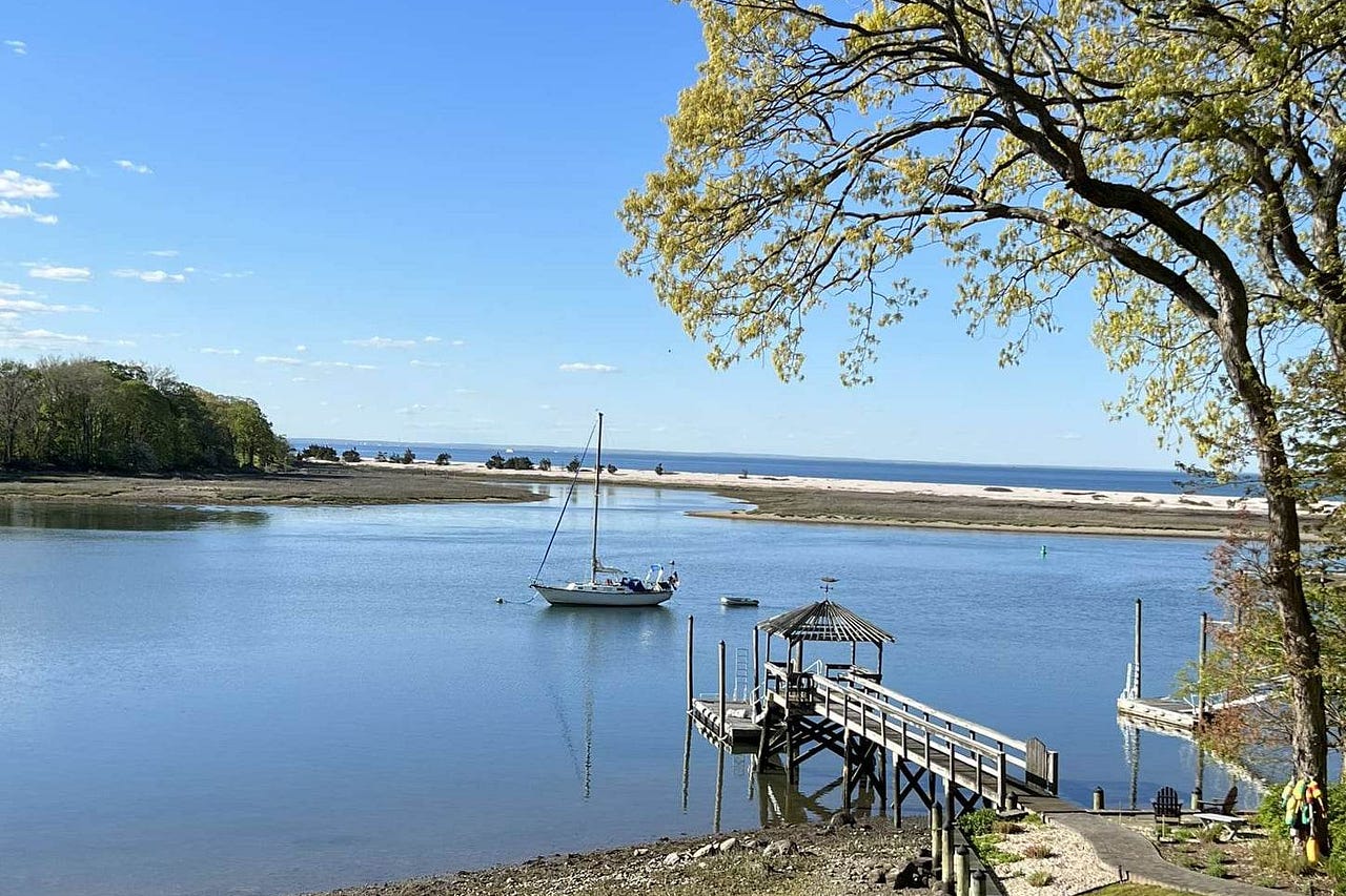 Where is Sofia? | Rob & Finbar | Substack