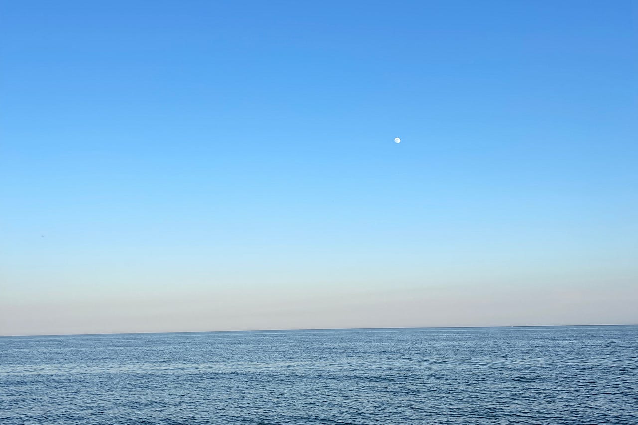 Twist of Lemons Newsletter | Katie Lemons | Substack