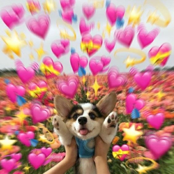 Youth Grow Youth Monthly Newsletter | YGY | Substack