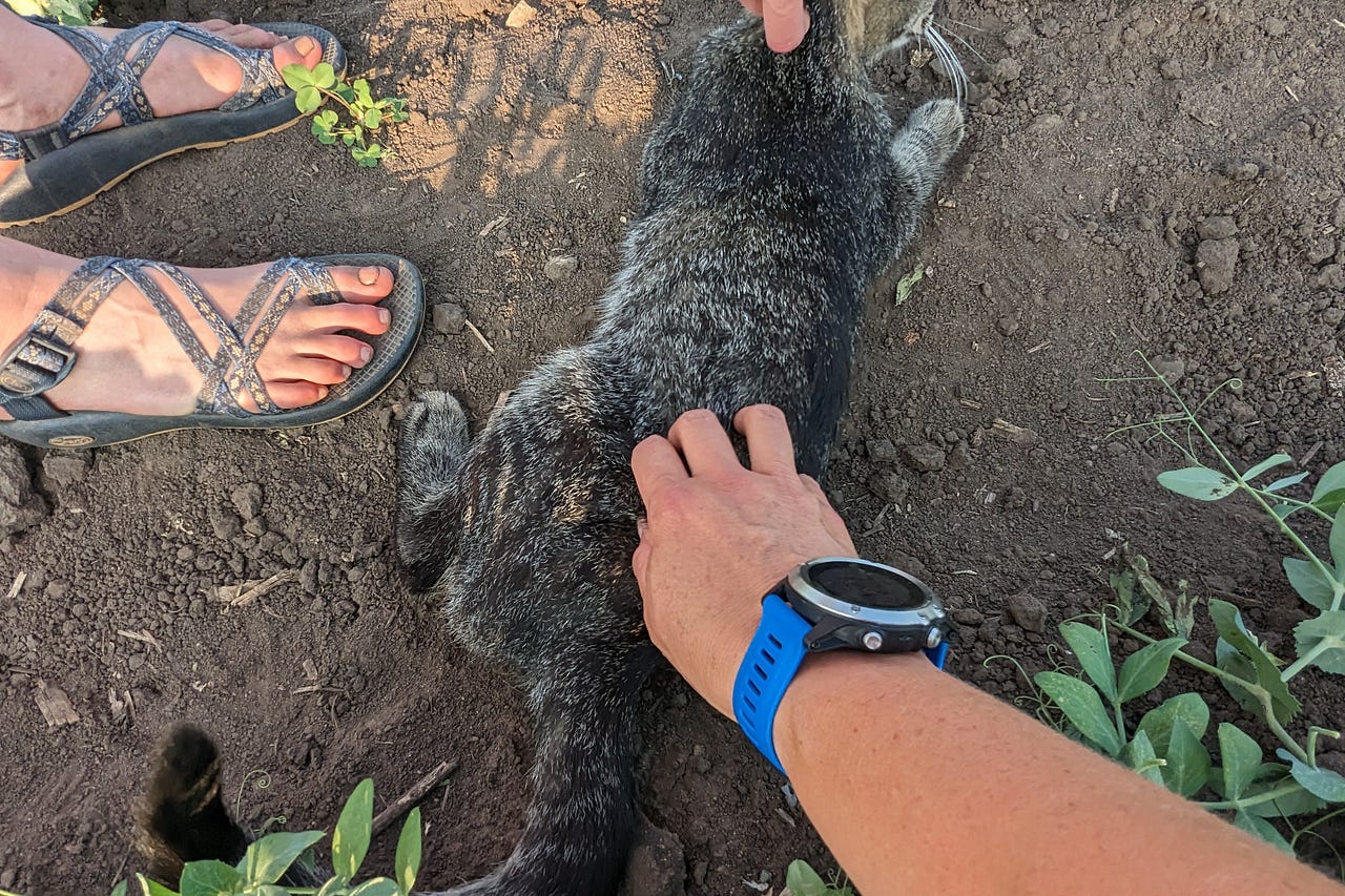 Coach Tonya Talks... | Tonya Andruskiewicz | Substack