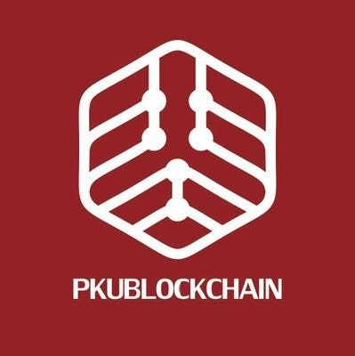 PKU’ Blockchain's Substack | PKU Blockchain | Substack