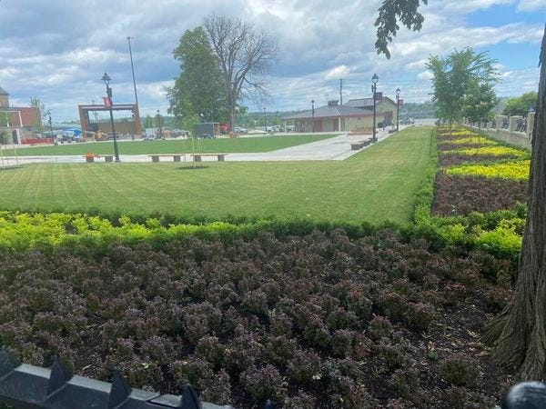 The Fredericton Word | Steven Clark | Substack