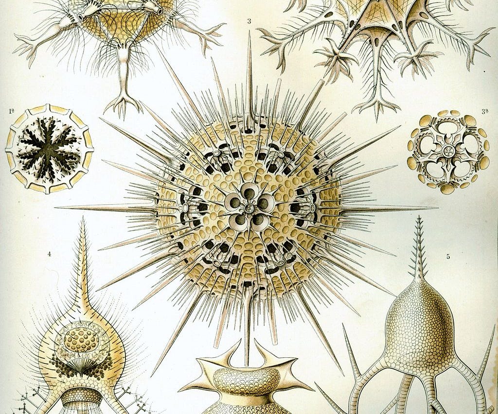 Software Design: Tidy First? | Kent Beck | Substack