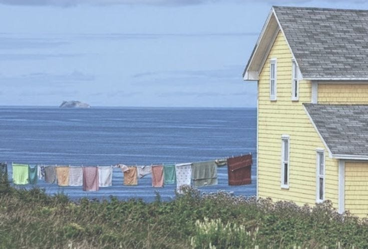 fishbowl thoughts | deborah | Substack