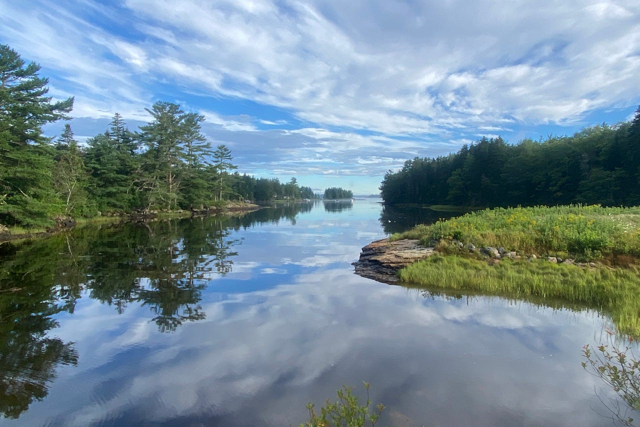 Cook & Tell | Amie McGraham | Substack