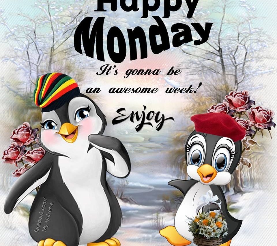 Screaming into the Void | SimulationCommander | Substack