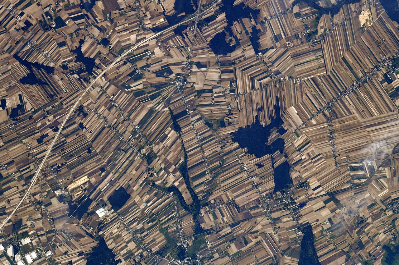 Antheros | Malcolm Cochran | Substack