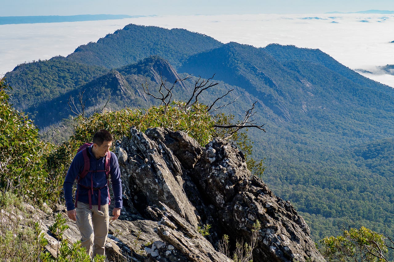 John’s 100 Out of 50 | John Yu | Substack