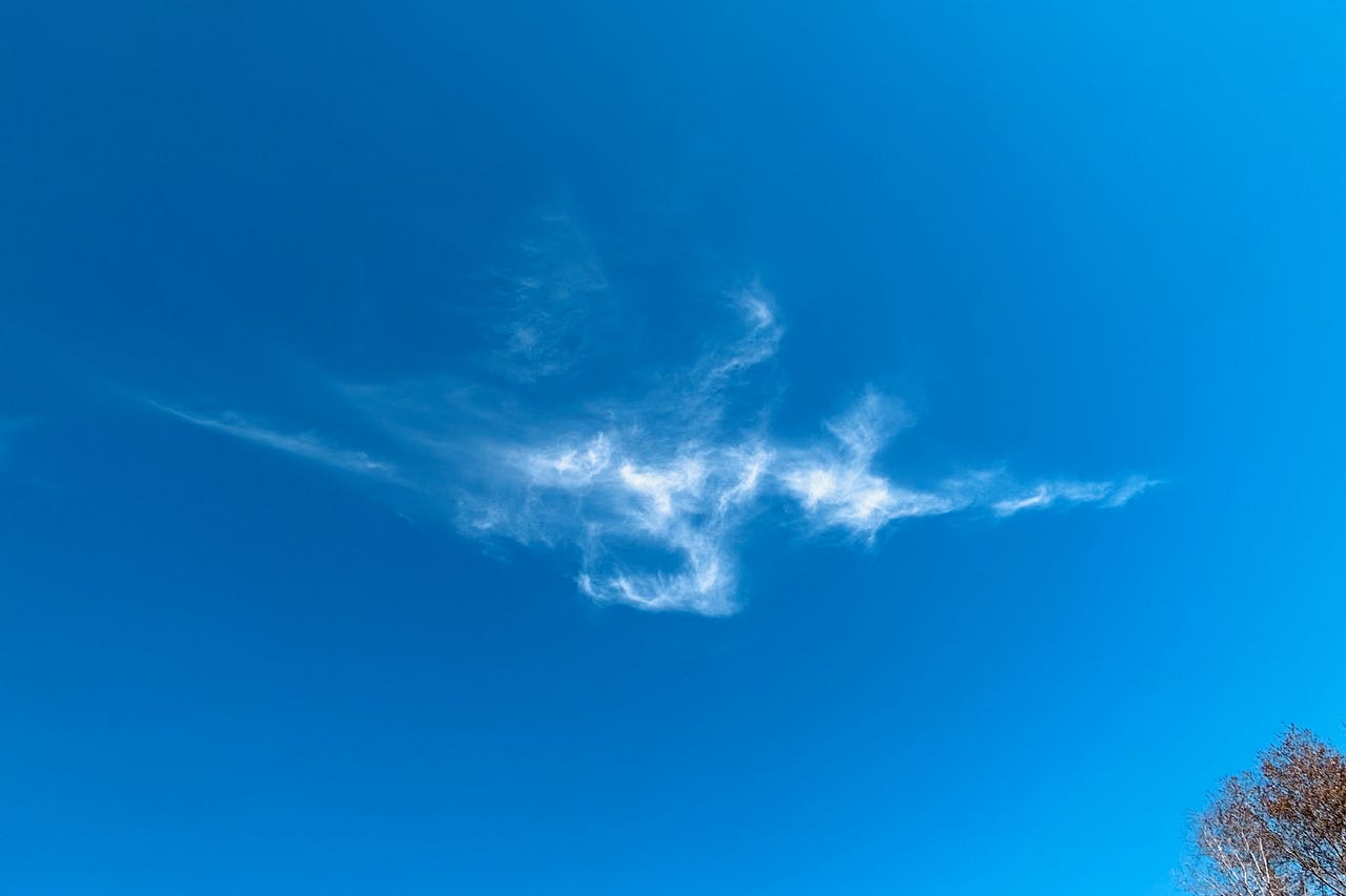 Minor Fossil | Substack