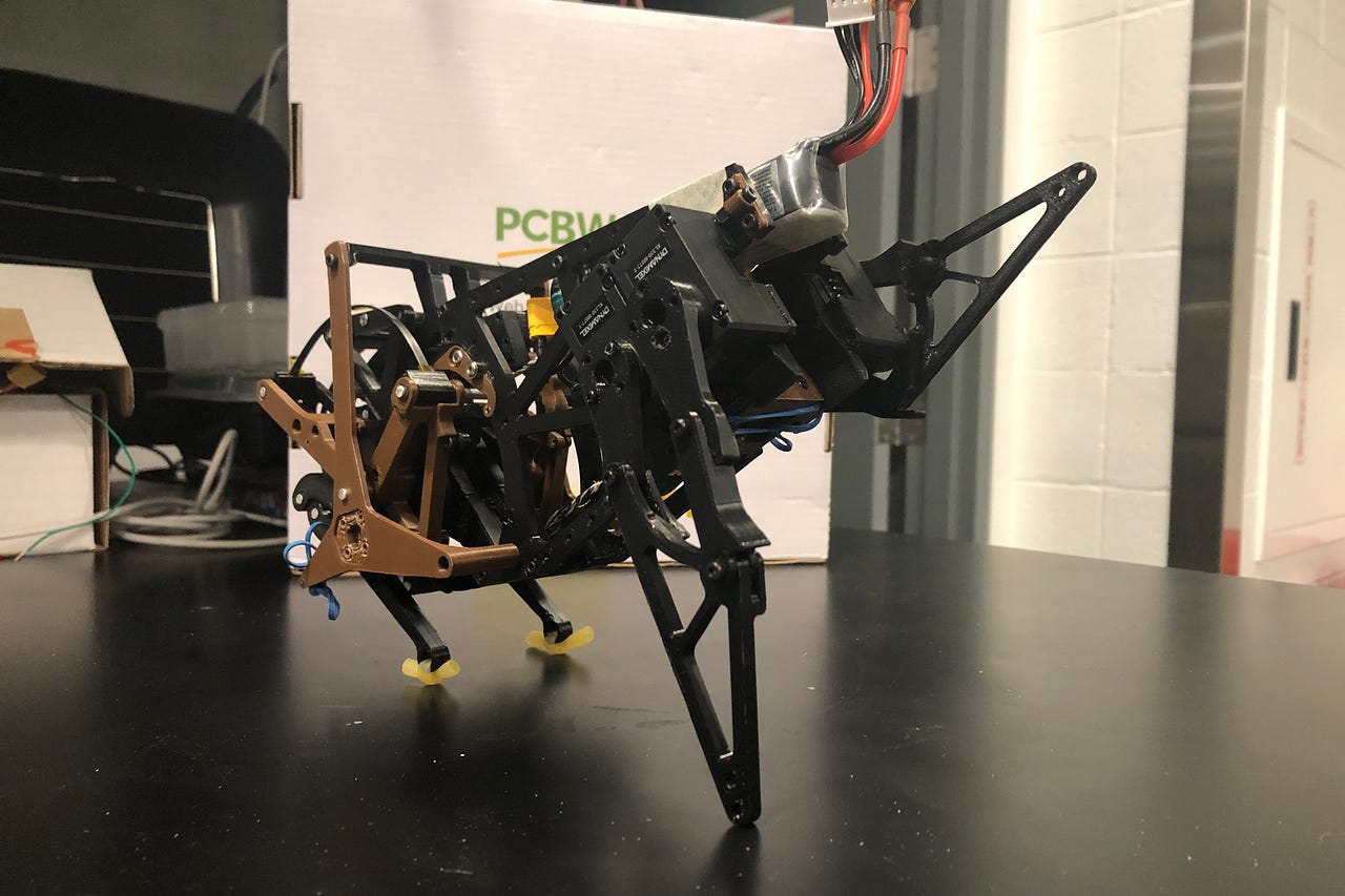 The Robotic Squirrel Project | Pintobotics | Substack