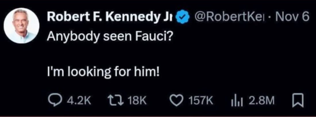 Welcome to Absurdistan | elizabeth nickson | Substack