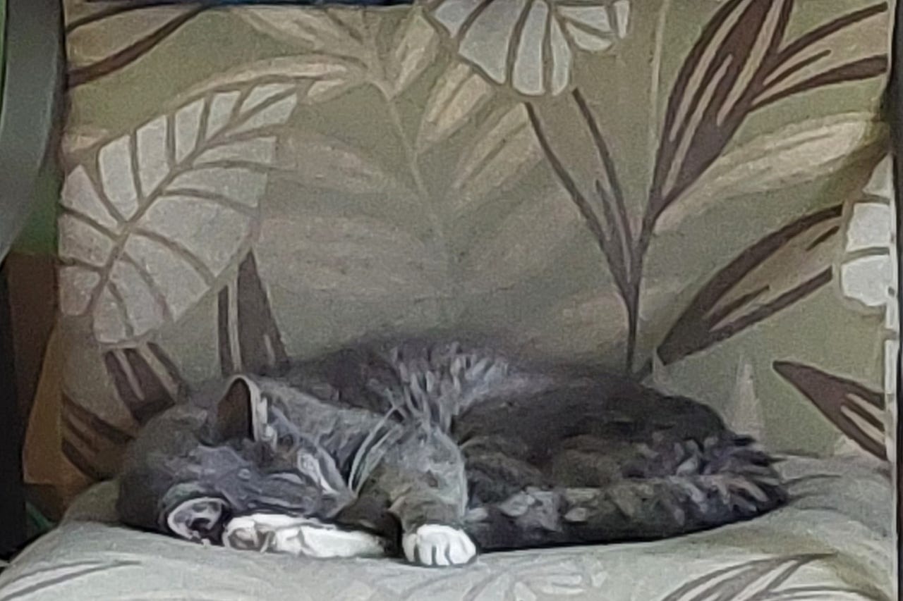 Oh Hai, Mailman! | JT Mailman | Substack