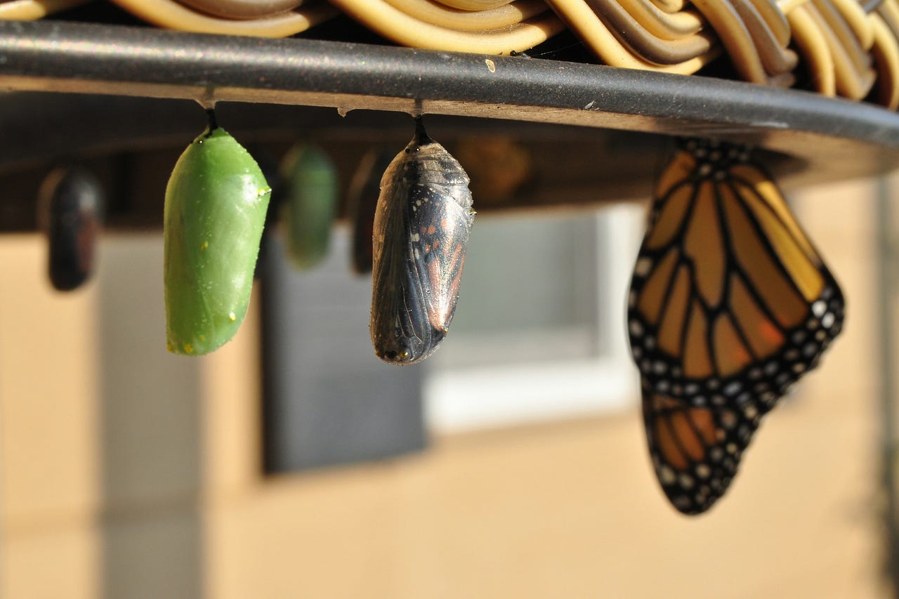 Fyle Stories | Siva Narayanan | Substack