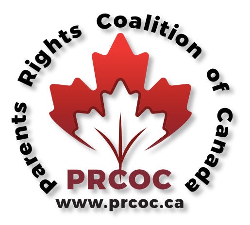 Chanel’s Substack | Chanel Pfahl | Substack