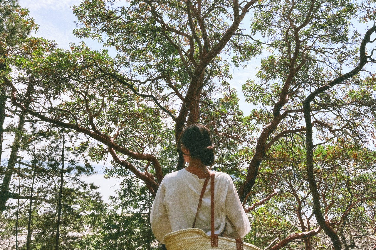 Sarah Blondin | Substack