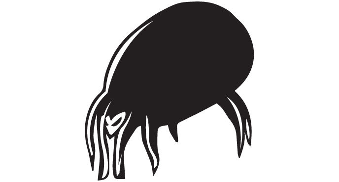 zk-🦈’s Substack | zk-shark | Substack