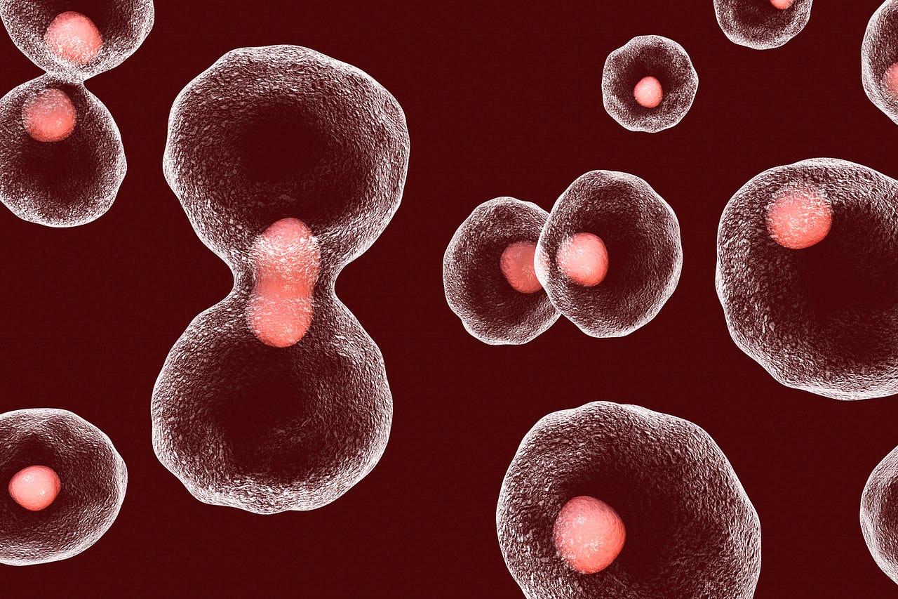 Dimension Research | Substack