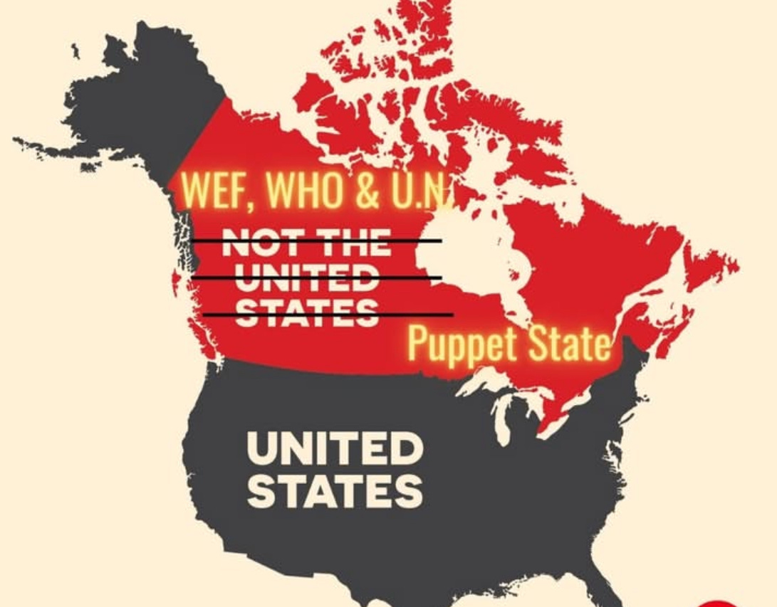 Welcome to Absurdistan | elizabeth nickson | Substack