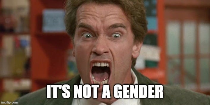 Earthbound Misfit | Dana Seilhan | Substack