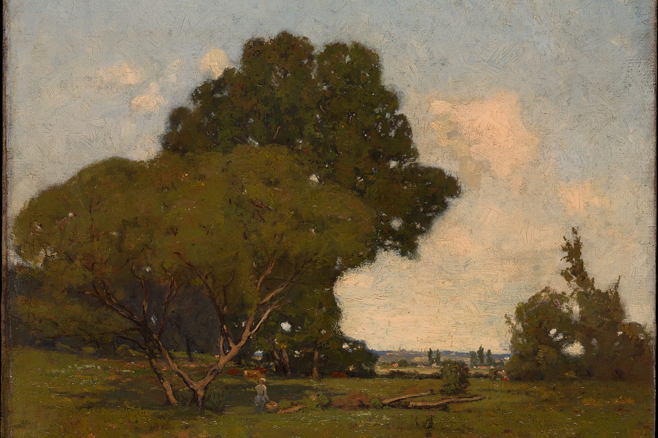 tiny gardens | Ellen Airhart | Substack