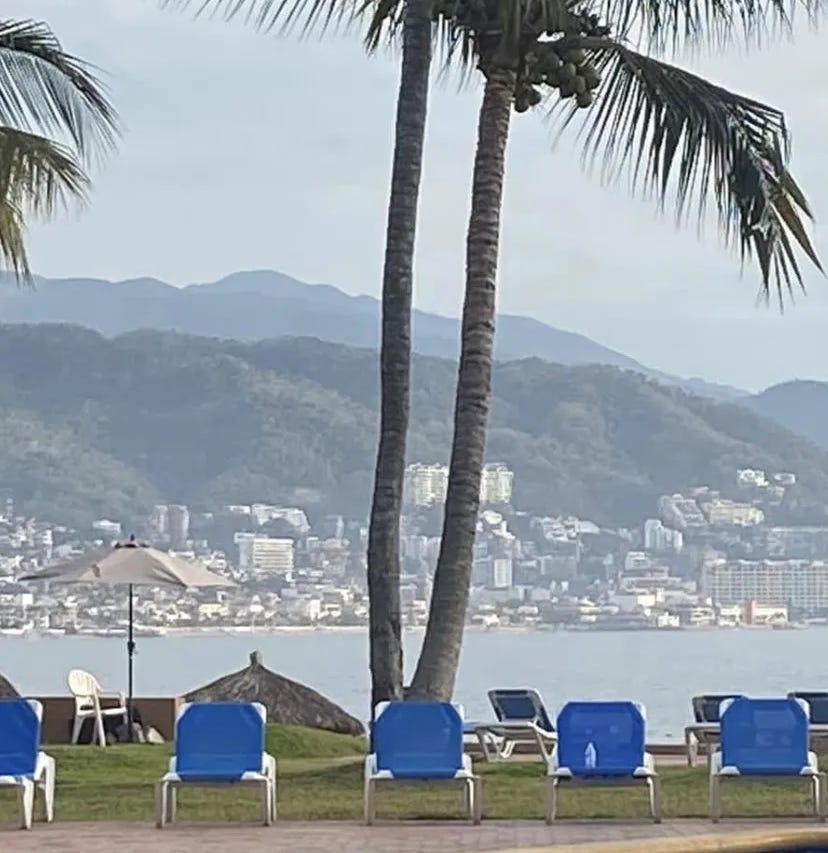 Which Way, Now?! | Marie Sanchez Nelson | Substack