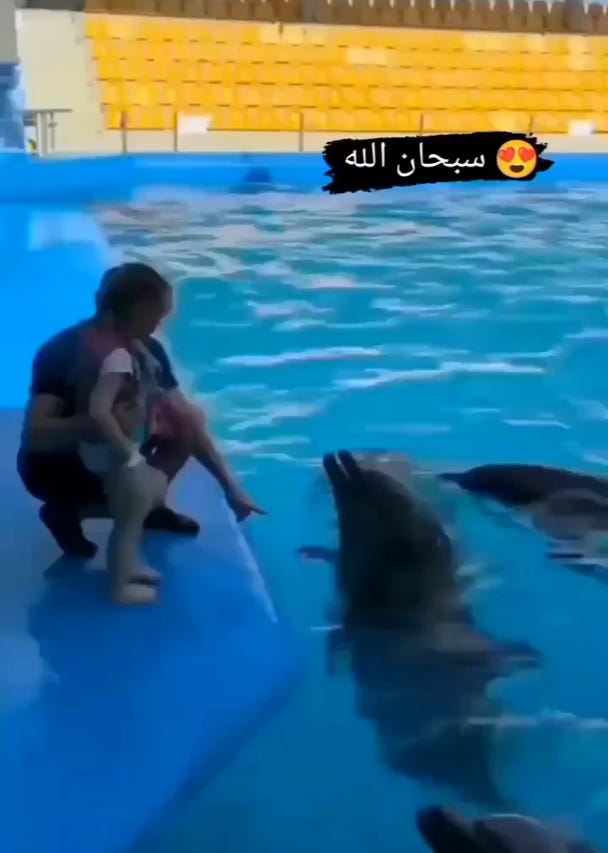 Kiran’s Substack | Substack