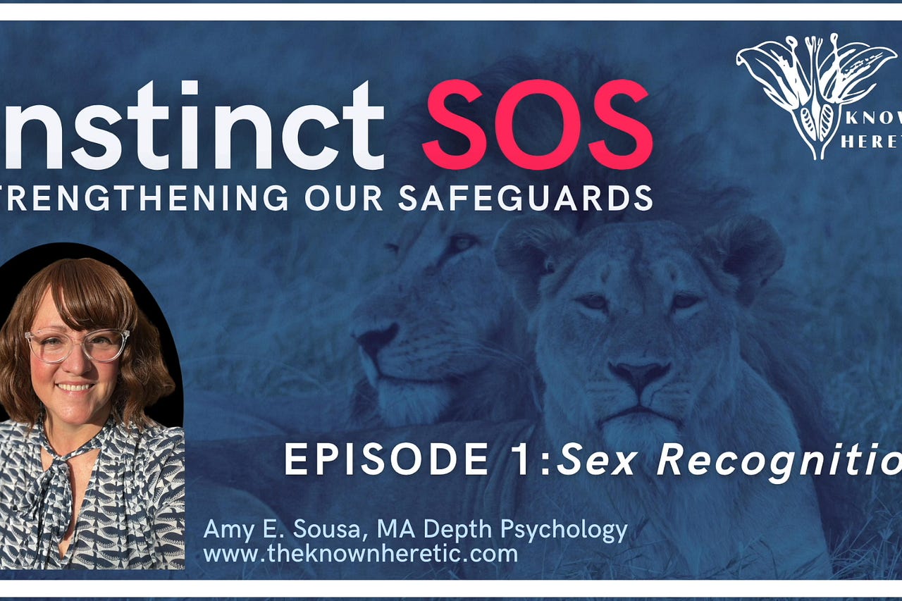 KnownHeretic’s Substack | Amy Sousa, MA Depth Psychology | Substack